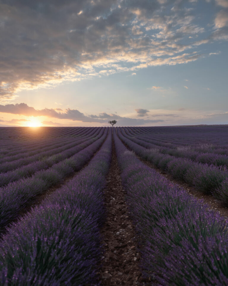 Sky Overlays for Photoshop – Ultimate 300 Sky Bundle